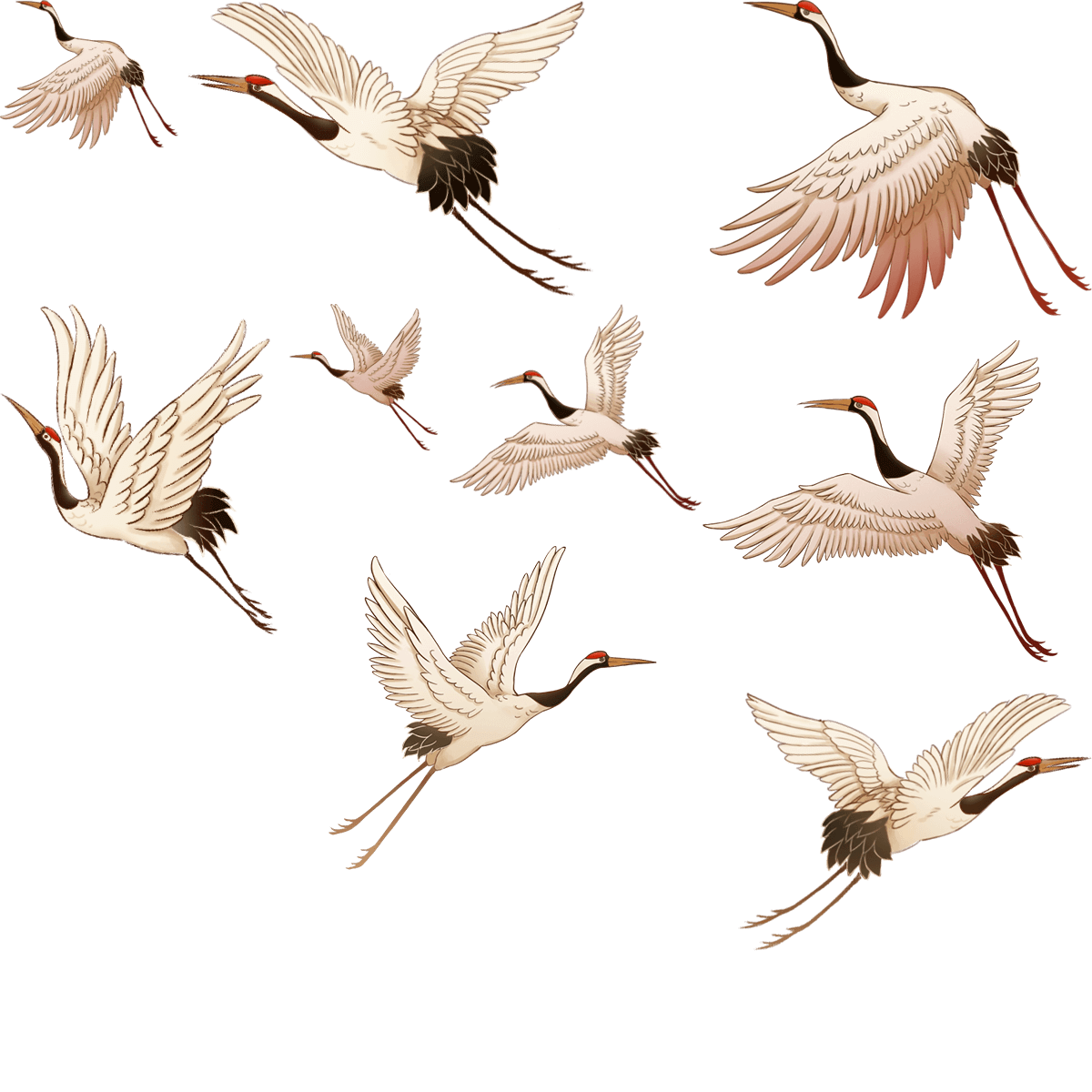 he.png (1200×1200)-花瓣网